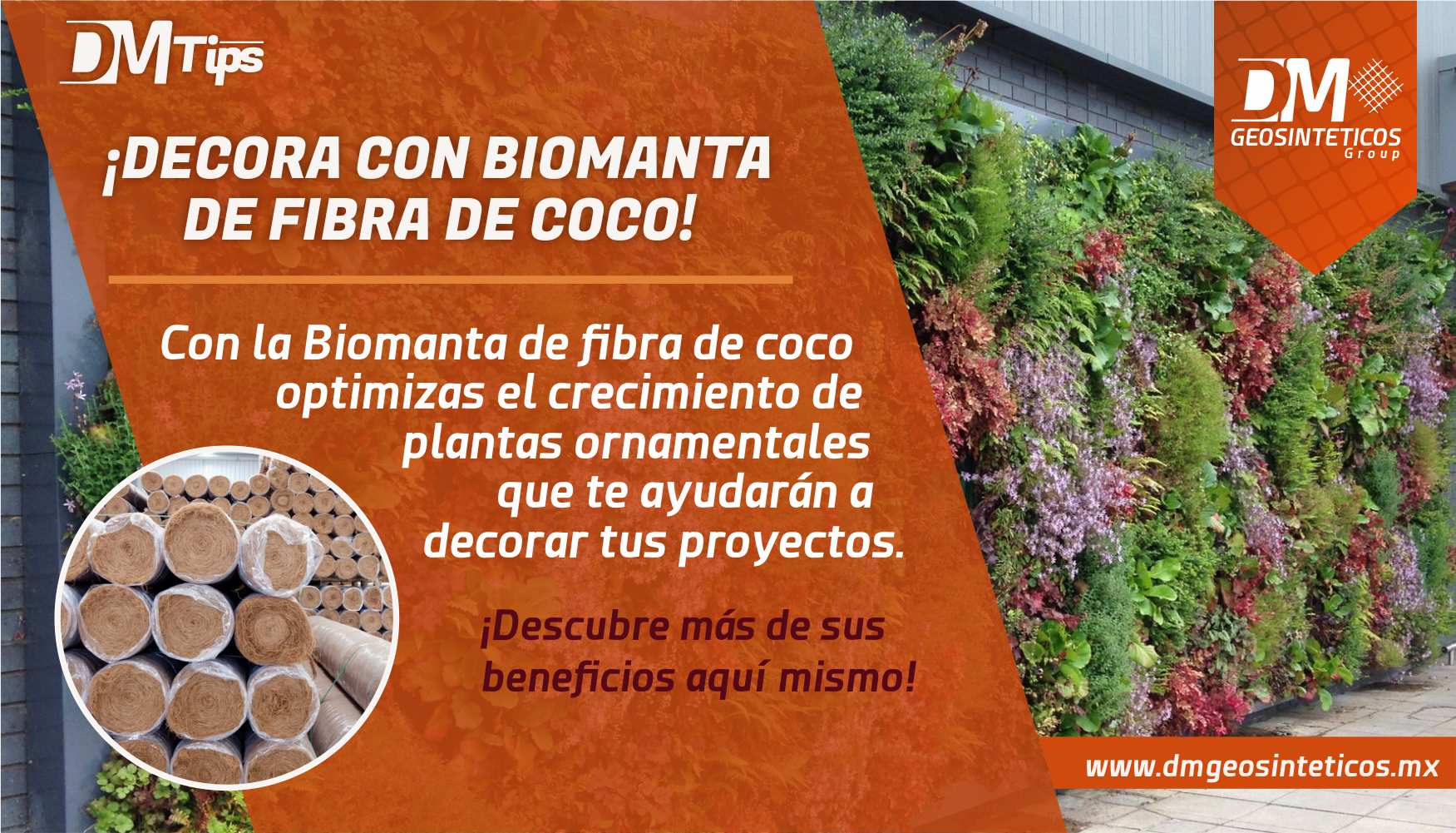 ¡Utiliza Biomanta de fibra de coco en venta por rollo para muros ...